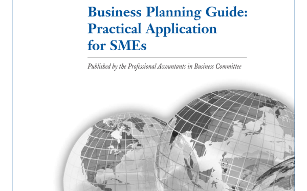 19.-Business-Planning-Guide-Practical-Application – Ekiti State College ...